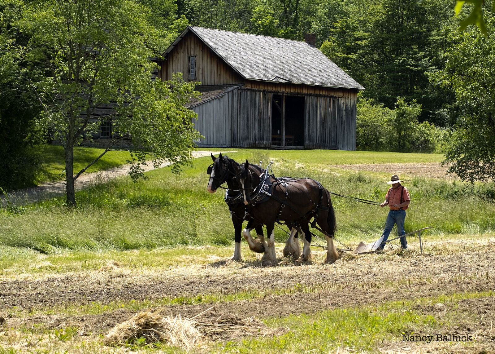 Sow and Grow Festival | Saturday, June 07, 2025 10:00 am – 4:00 pm | WRHS